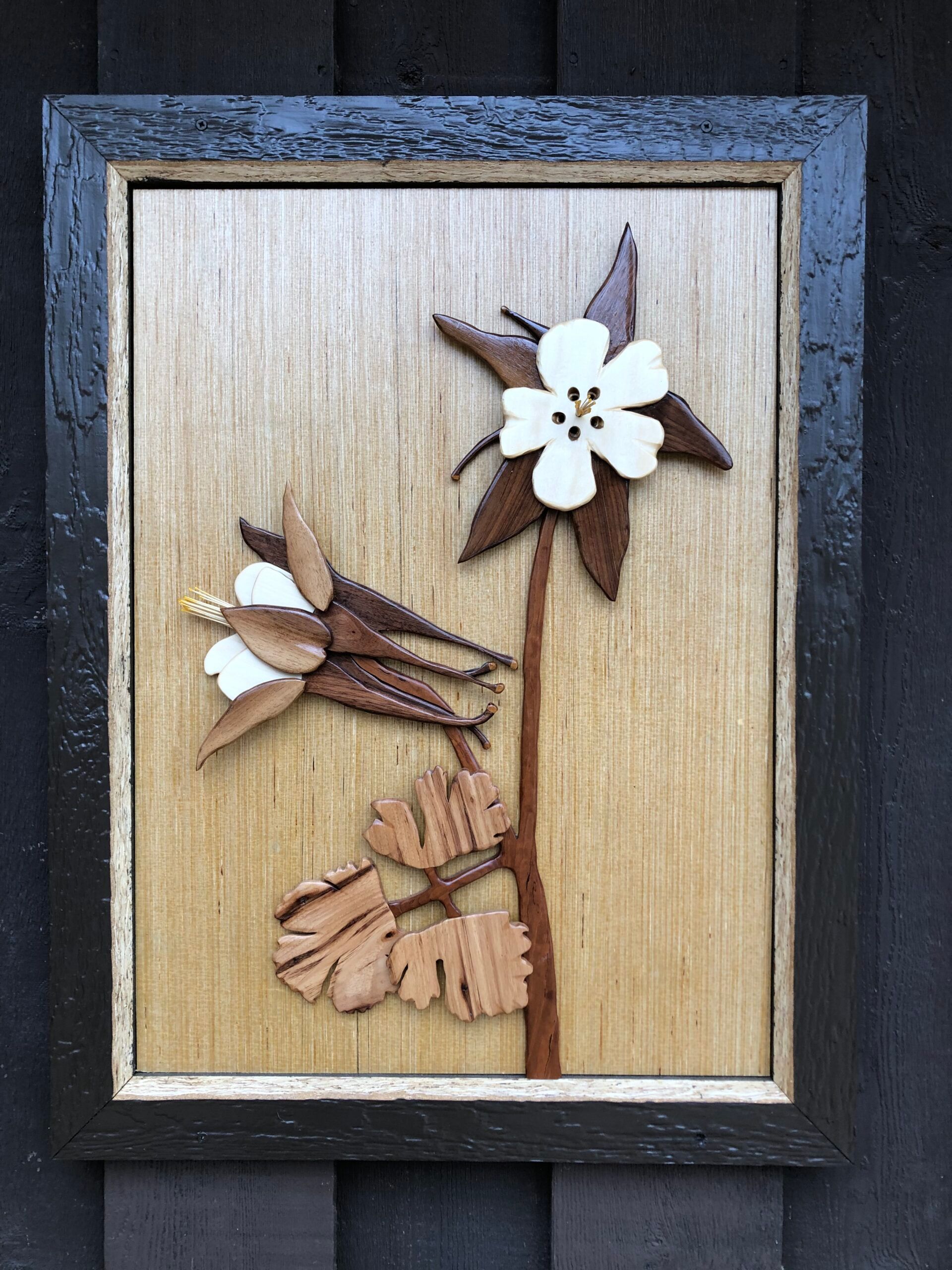 Portraits from the Wild - FineWoodworking