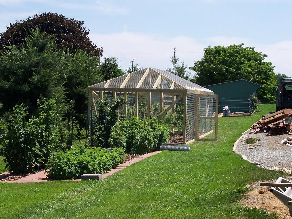 Blueberry Cage to keep the birds out! - Fine Homebuilding