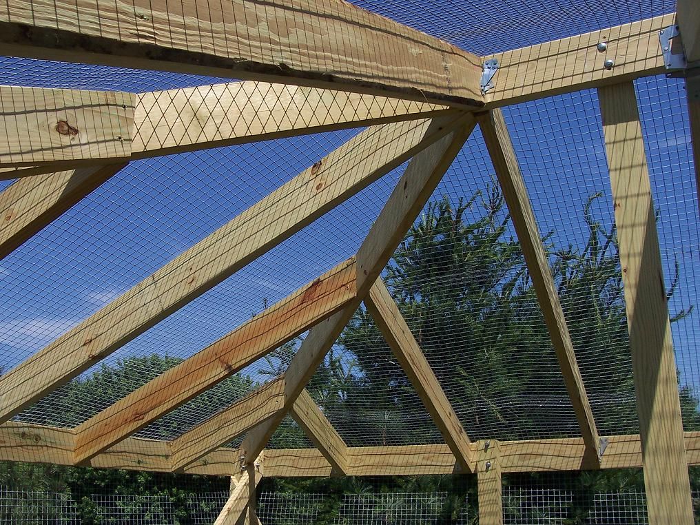 Blueberry Cage to keep the birds out! - Fine Homebuilding