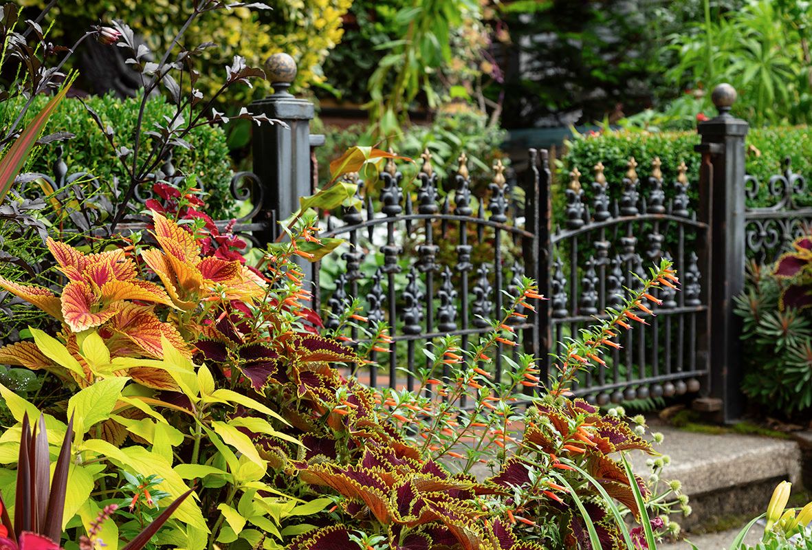 21 Garden Gate Design Ideas to Jumpstart Your Next Project - Fine ...