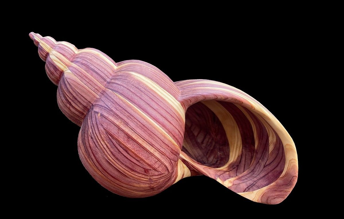 Conical Spiral Cedar Shell - FineWoodworking
