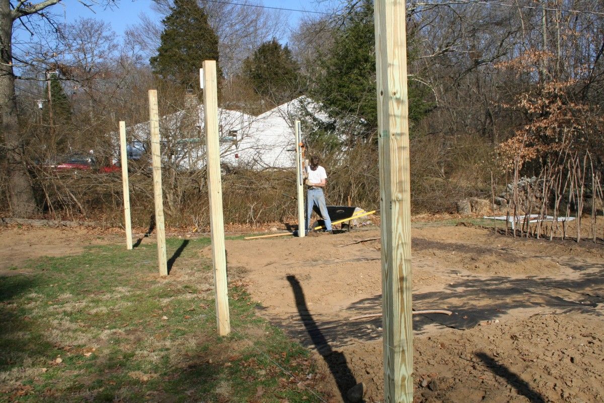 Patrick's Barn: It's Not Just a Barn, It's a Hands-on Lifestyle - Fine ...