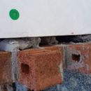 Mortar bridging and droppings - GreenBuildingAdvisor