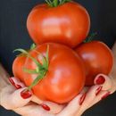 What are your favorite tomato plants for our dry heat conditions ...