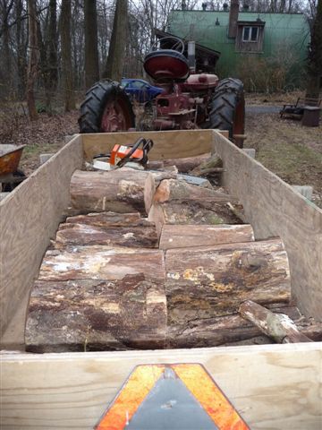 Wood: Warming Winter Work - Fine Gardening
