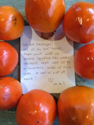 A Gift of Persimmons - Fine Gardening