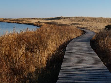 Design snapshot: Beach boardwalk - Fine Homebuilding