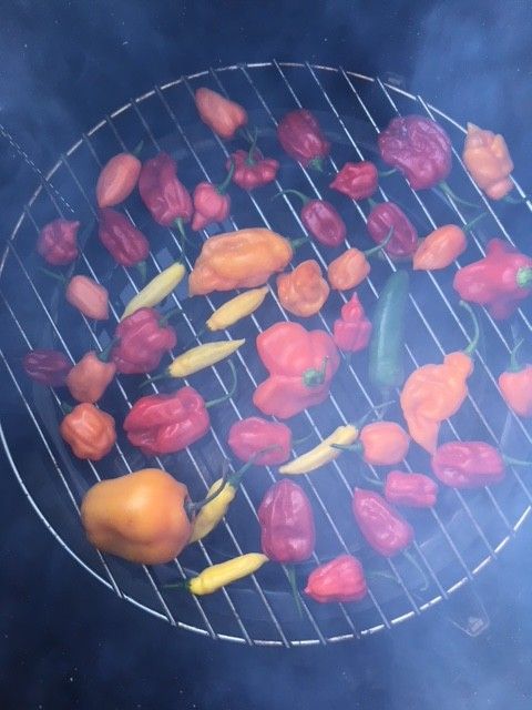 Smoking Chile Peppers - Fine Gardening
