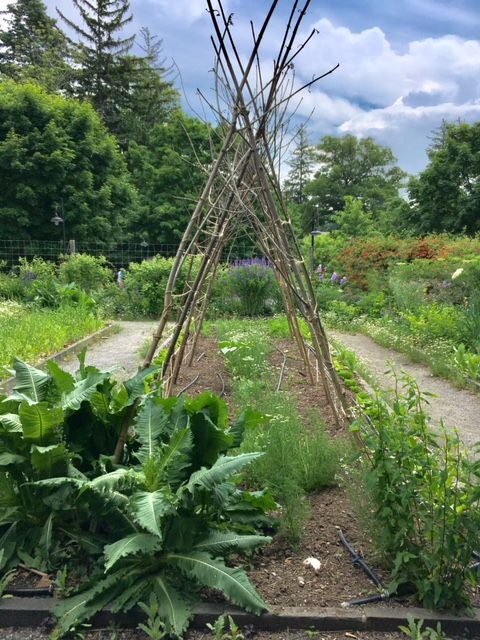 Stone Barns Center for Food & Agriculture - Fine Gardening