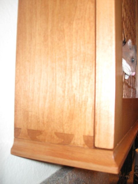 Mouse Cabinet - FineWoodworking