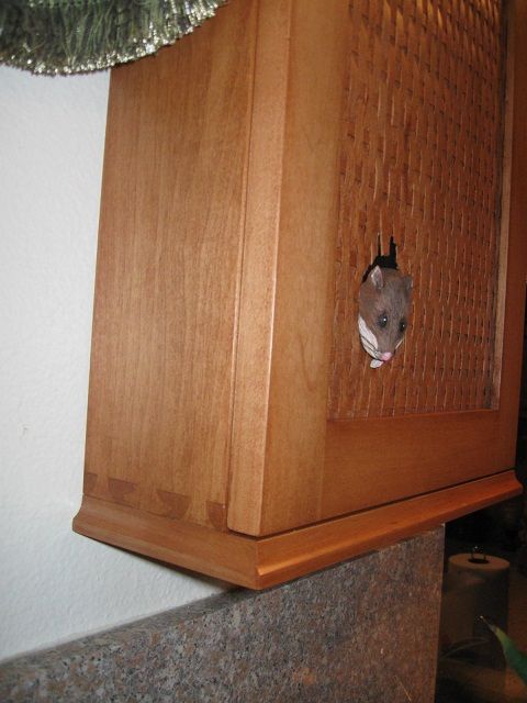 Mouse Cabinet - FineWoodworking
