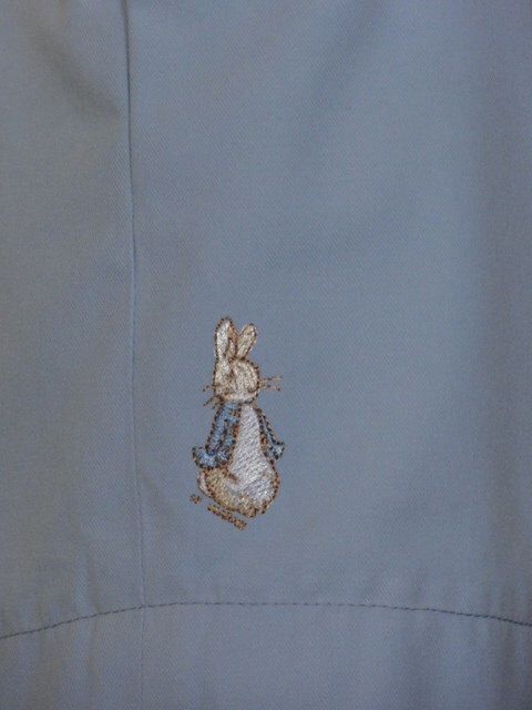 Peter Rabbit outfit - Threads