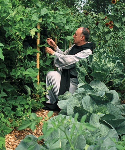 Seasonal Food from a Monastery Garden - FineGardening