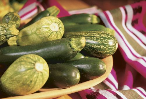 Mexican Ways with Zucchini - Fine Gardening