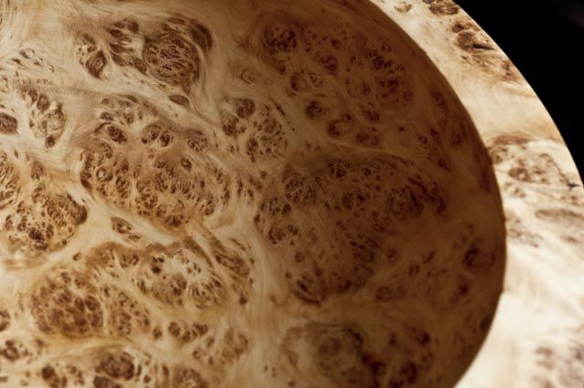 Yellow Cedar Burl - FineWoodworking