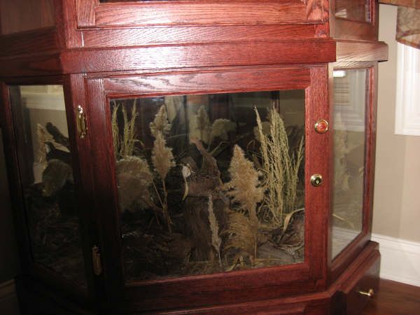 Rotating 8- Gun Carousel - Gun Cabinet with Bobwhite Quail Taxidermy ...