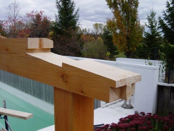 Moon Viewing Platform - Fine Homebuilding