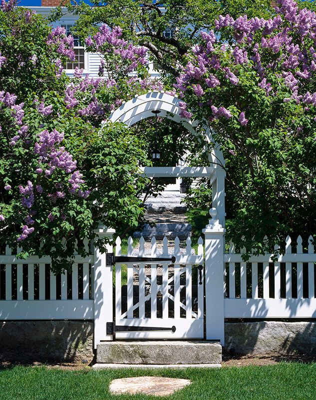 21 Garden Gate Design Ideas to Jumpstart Your Next Project - Fine ...