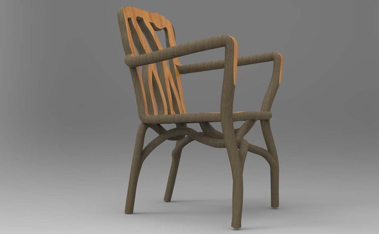Trees trained to grow into furniture - FineWoodworking
