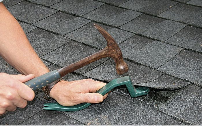PacTool International Roof Snake - Fine Homebuilding