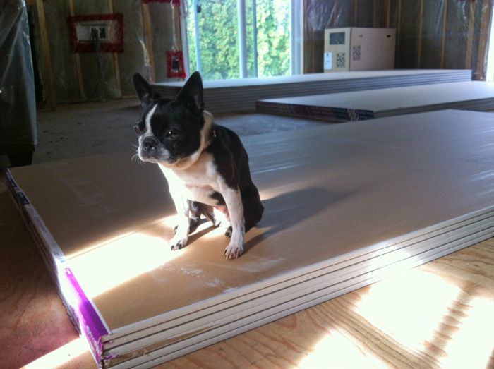 Polly the Drywaller - Fine Homebuilding