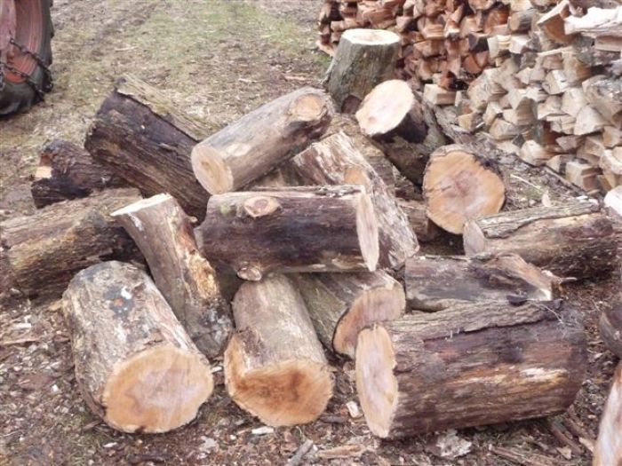 Wood: Warming Winter Work - Fine Gardening