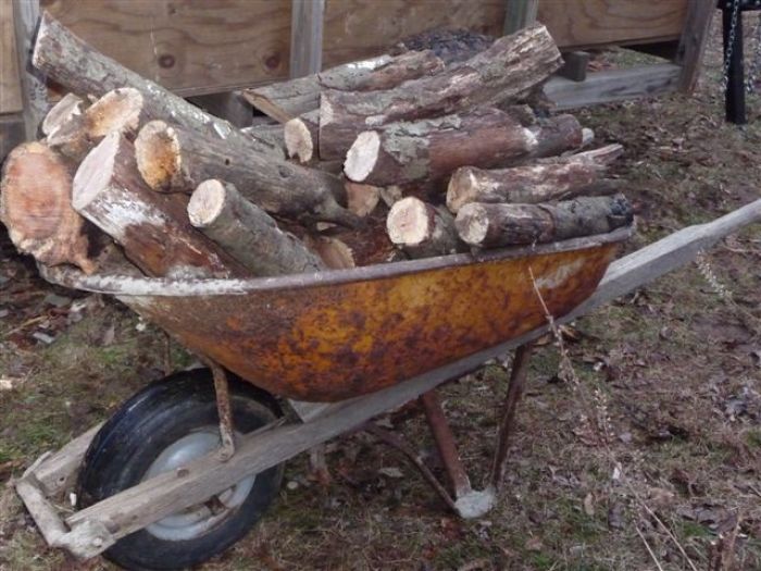Wood: Warming Winter Work - Fine Gardening