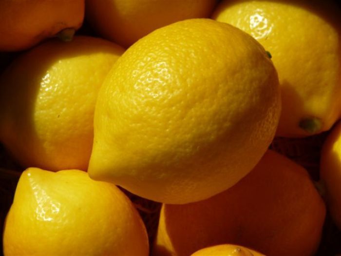 Sunny Lemons Brighten Winter Days in Many Ways - Fine Gardening