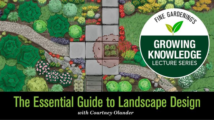 No-Fail Primroses - FineGardening