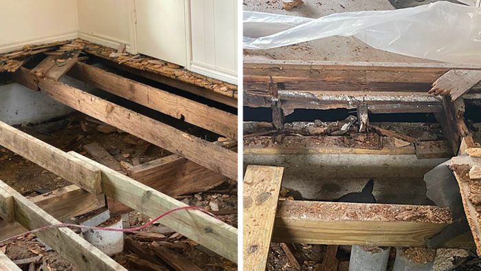 Severe Mold: Remediate or Demolish? - Fine Homebuilding