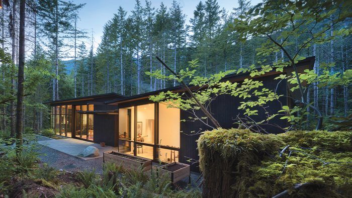 A Nature-Inspired Home Nestled in the Forest - Fine Homebuilding