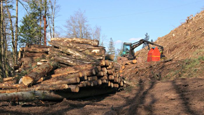 Southeast Urban Wood Exchange: Initiative for Wood Utilization ...