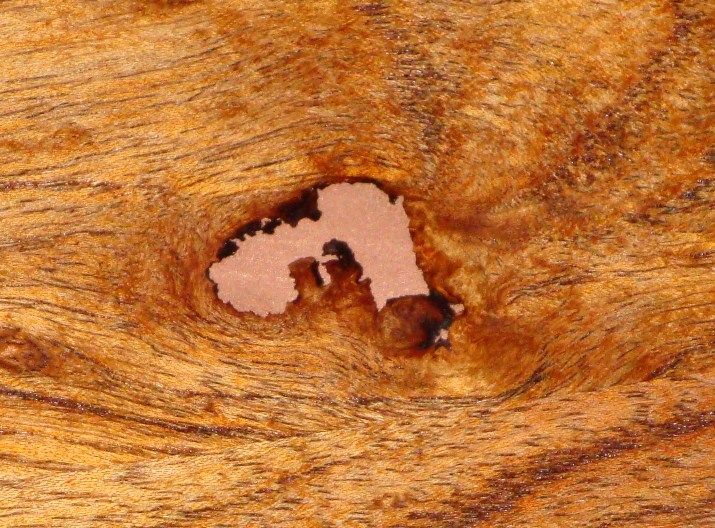 Stickley Table in Mesquite - FineWoodworking