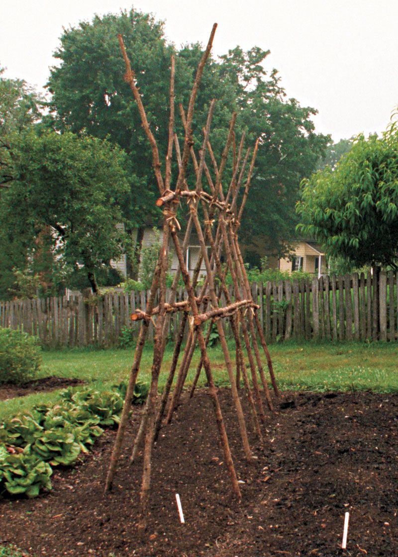 Three Garden Structures You Can Build - FineGardening
