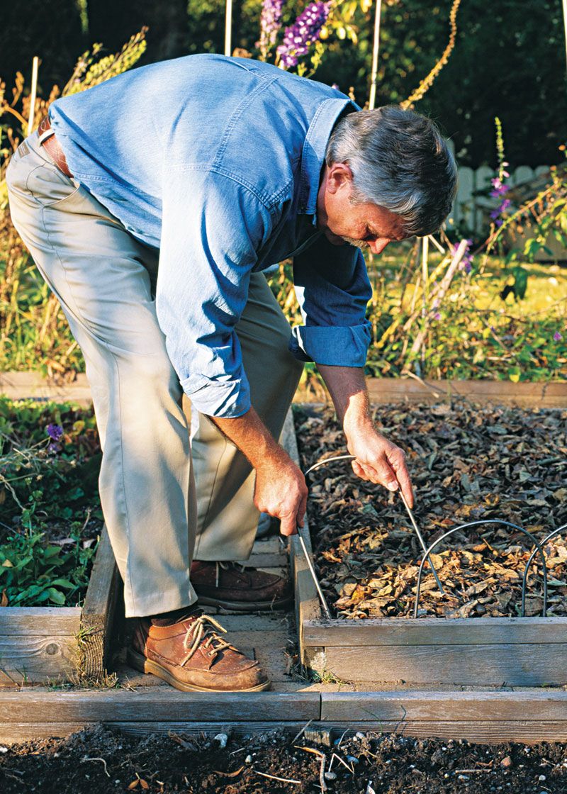 Get an Early Start for Your Spring Garden - FineGardening