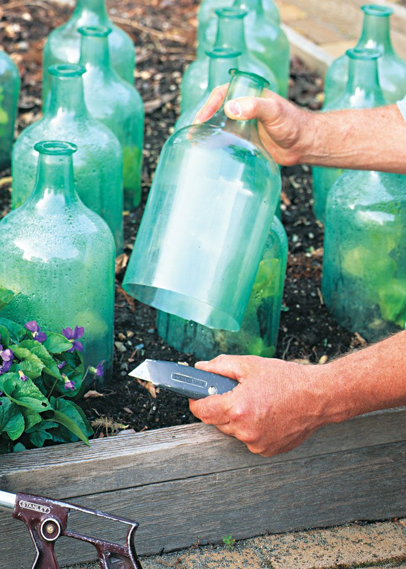 Get an Early Start for Your Spring Garden - FineGardening